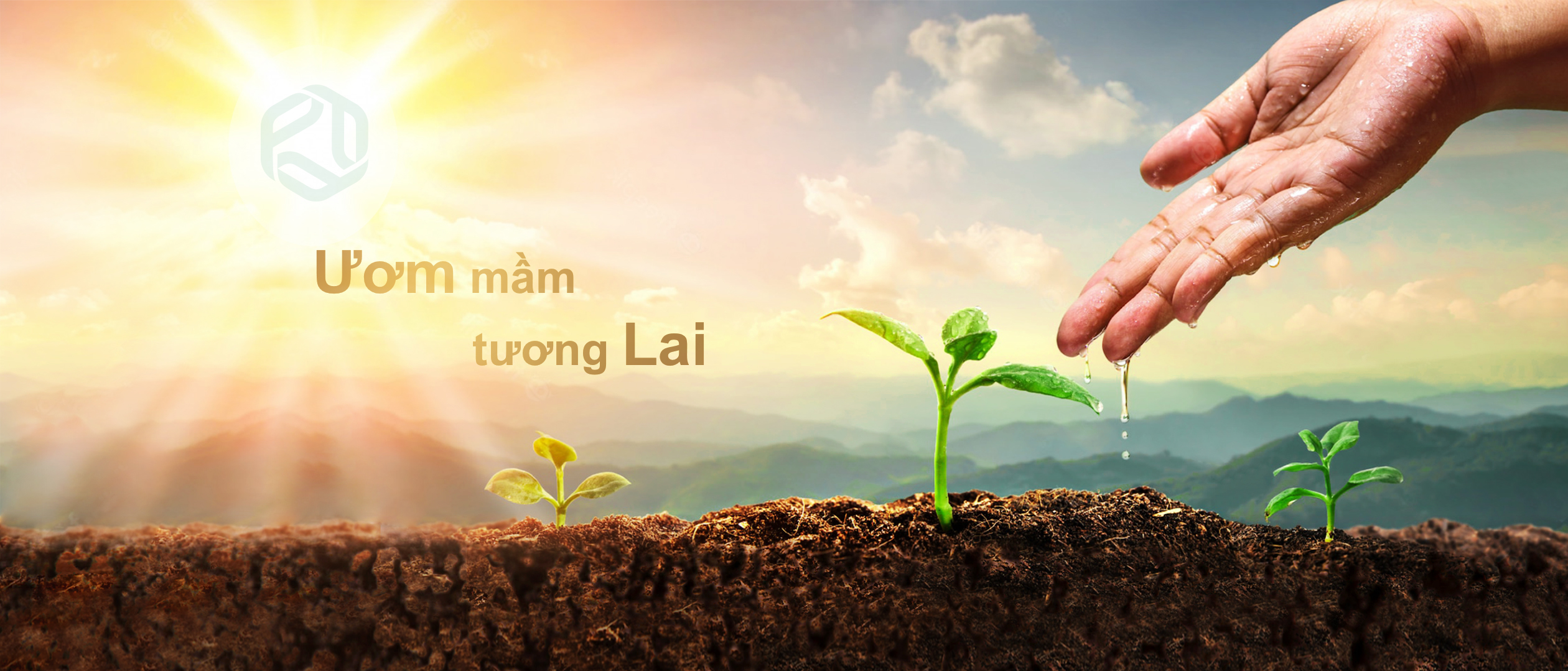 Phân bón lá – Phú Nông